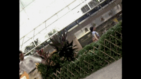 “港圈第一白月光”现状:放弃读博、下嫁穷小子 -6parkbbs.com